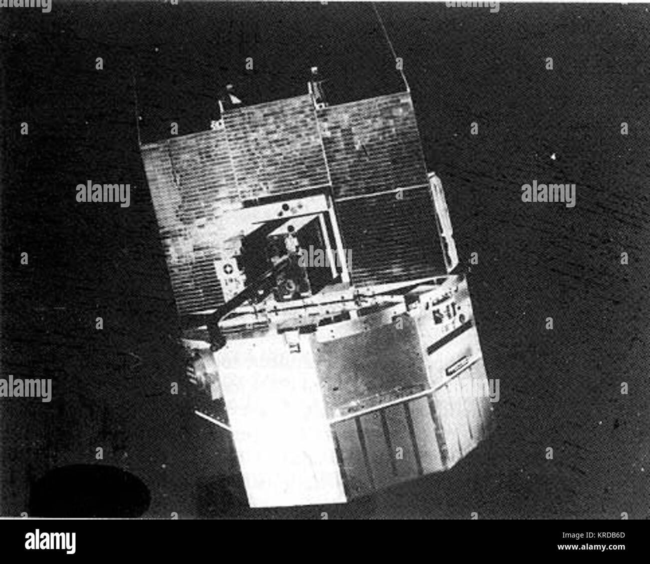 Oso Oso Black And White Stock Photos Images Alamy