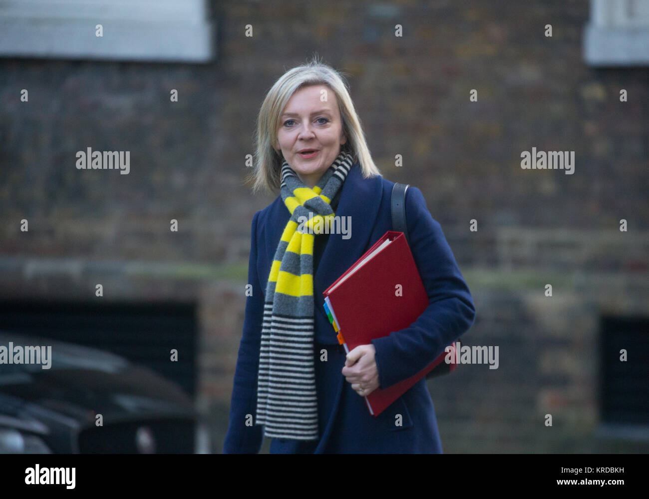 Liz Truss, MP for South West Norfolk and Chief Secretary to the ...