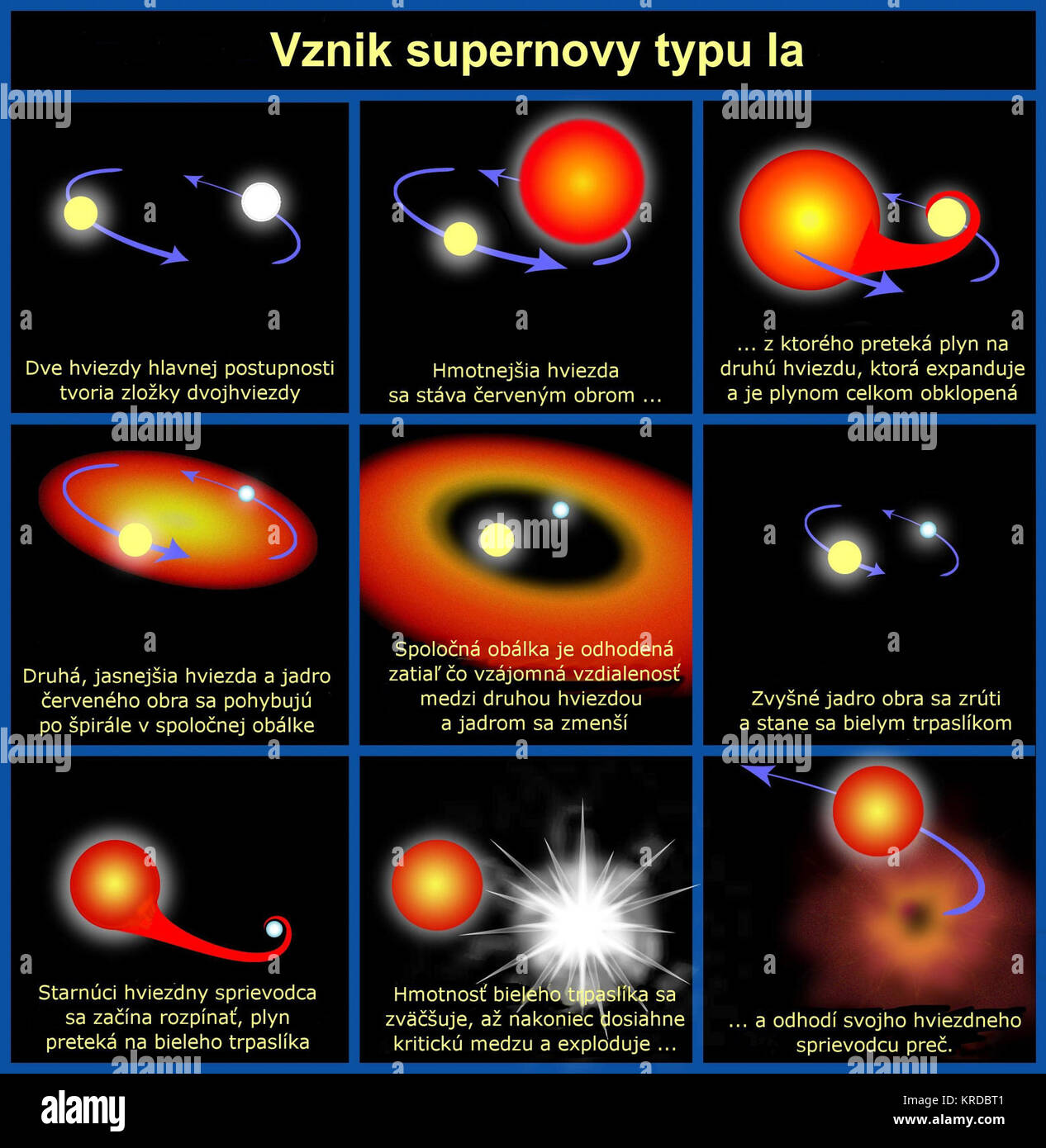 Progenitor hi-res stock photography and images - Alamy