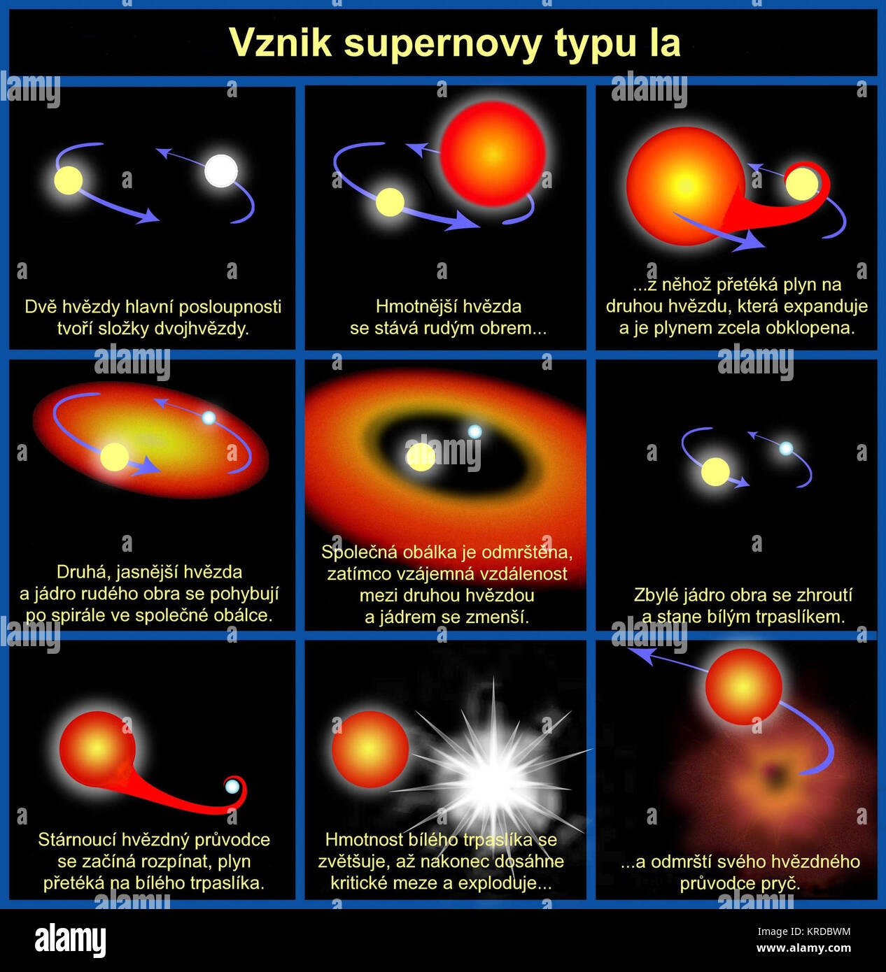 High Z Type Ia Supernova