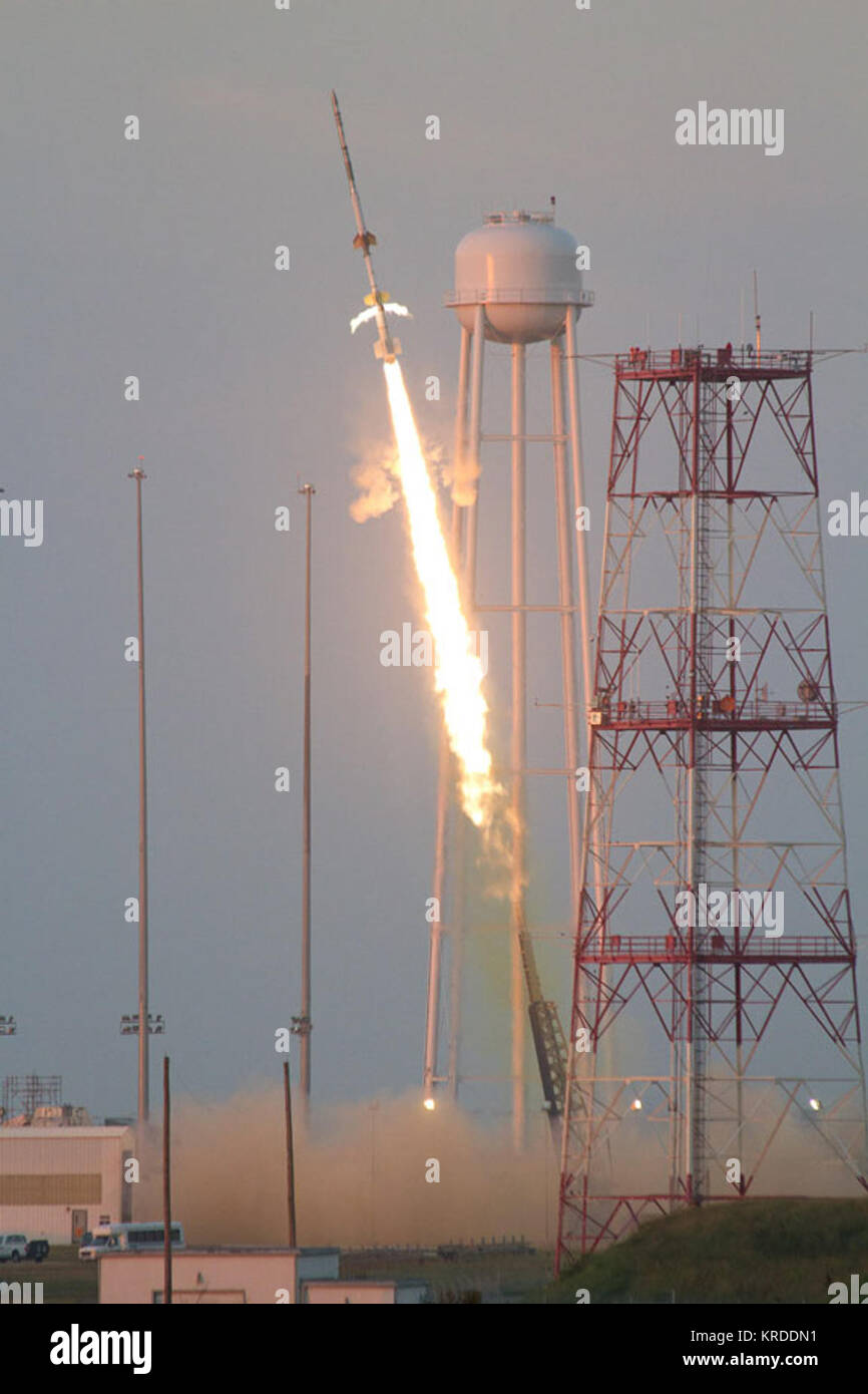 Talos Terrier Oriole 4 Stock Photo - Alamy