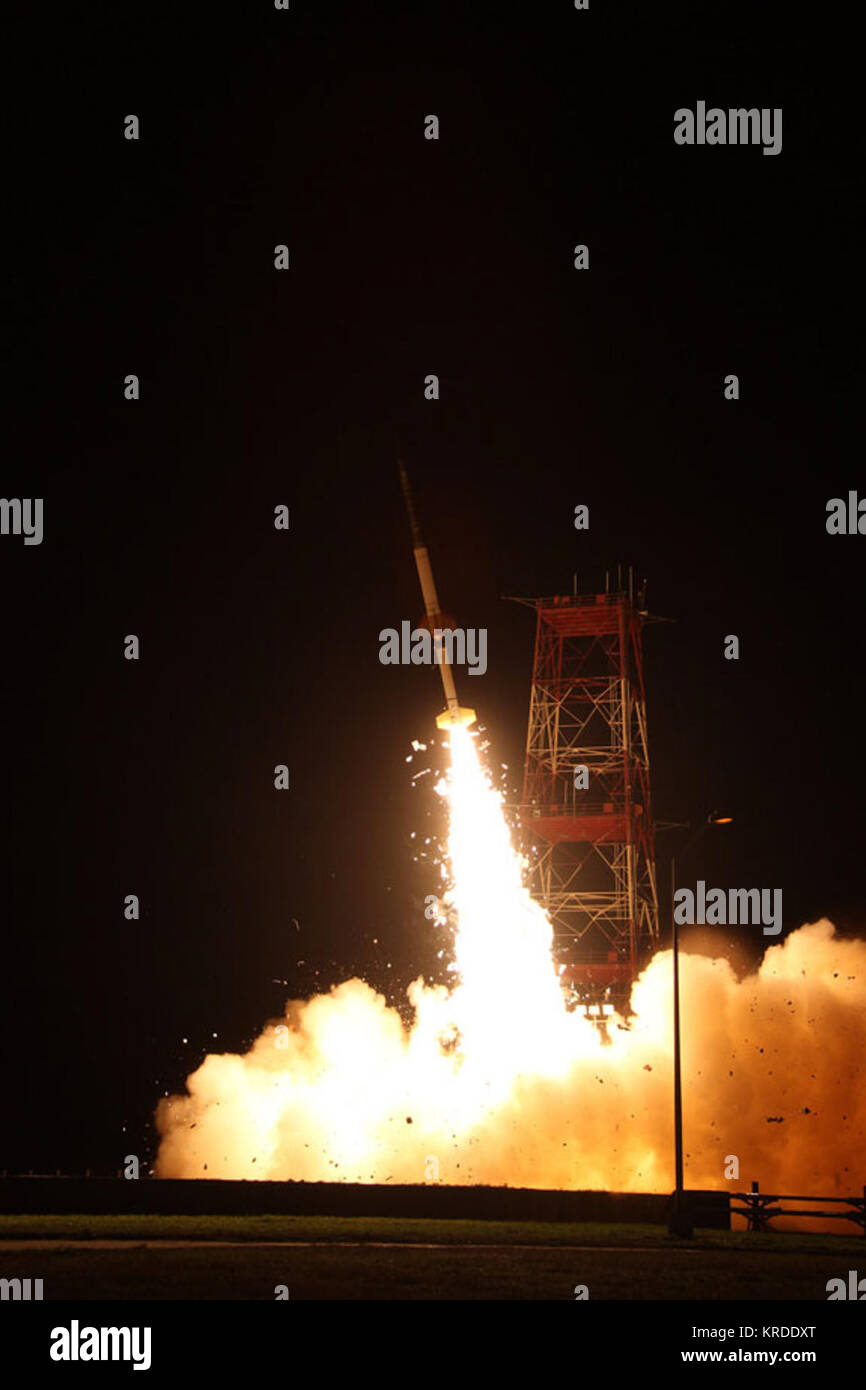 Terrier Oriole ATREX Stock Photo - Alamy