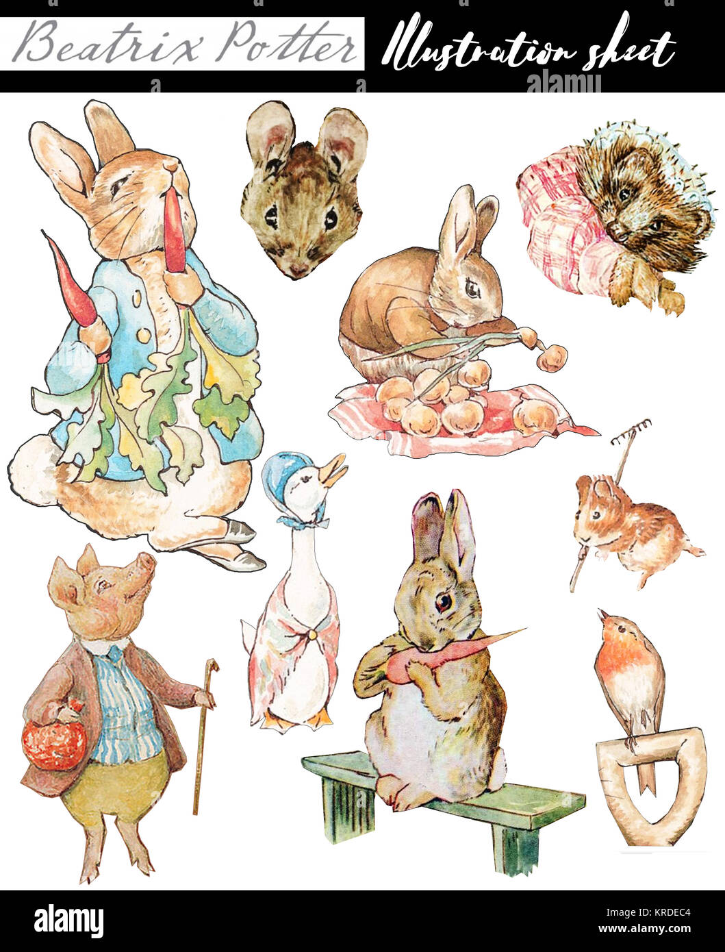Peter Rabbit Beatrix Potter High Resolution Stock Photography and ...