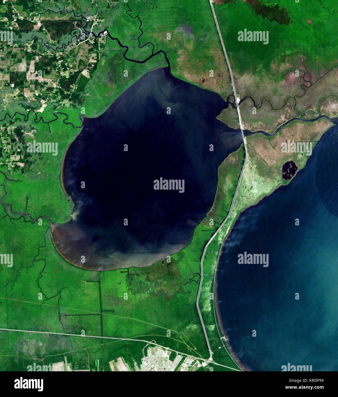 Louisiana maurepas swamp hi-res stock photography and images - Alamy