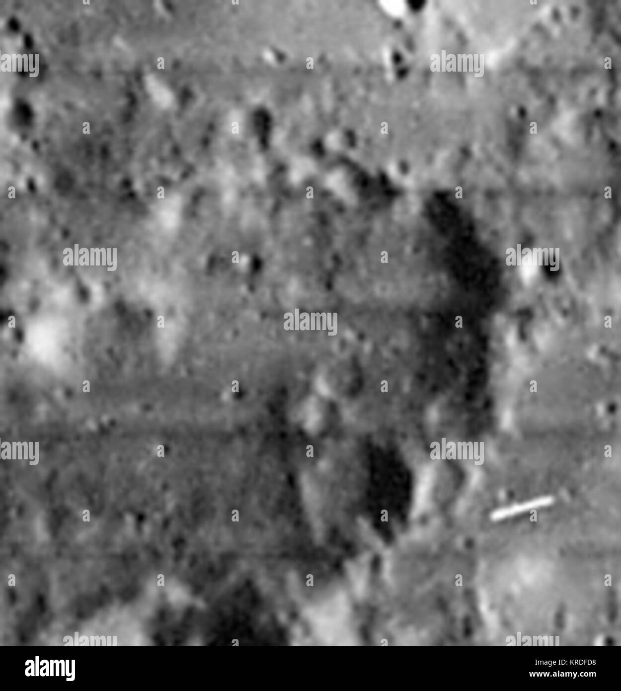 Poisson Black and White Stock Photos & Images - Alamy