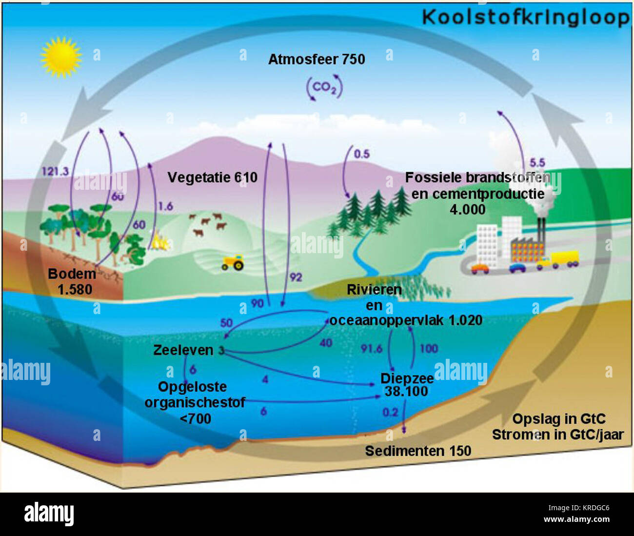 Carbon cycle-cute diagram Dutch text Stock Photo - Alamy