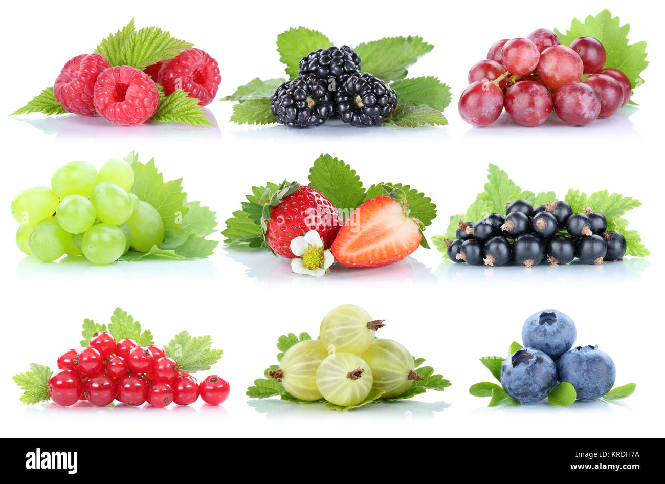 Sammlung Beeren Erdbeeren Trauben Weintrauben Blaubeeren Himbeeren bio ...