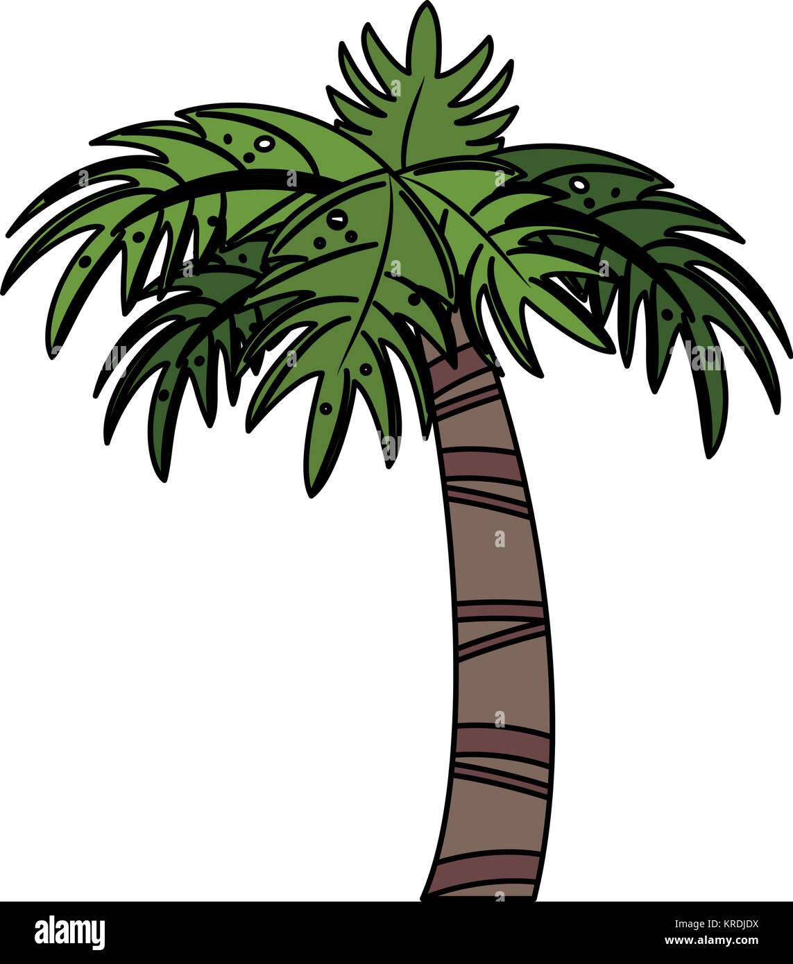 Palm tree isolated Stock Vector Image & Art - Alamy
