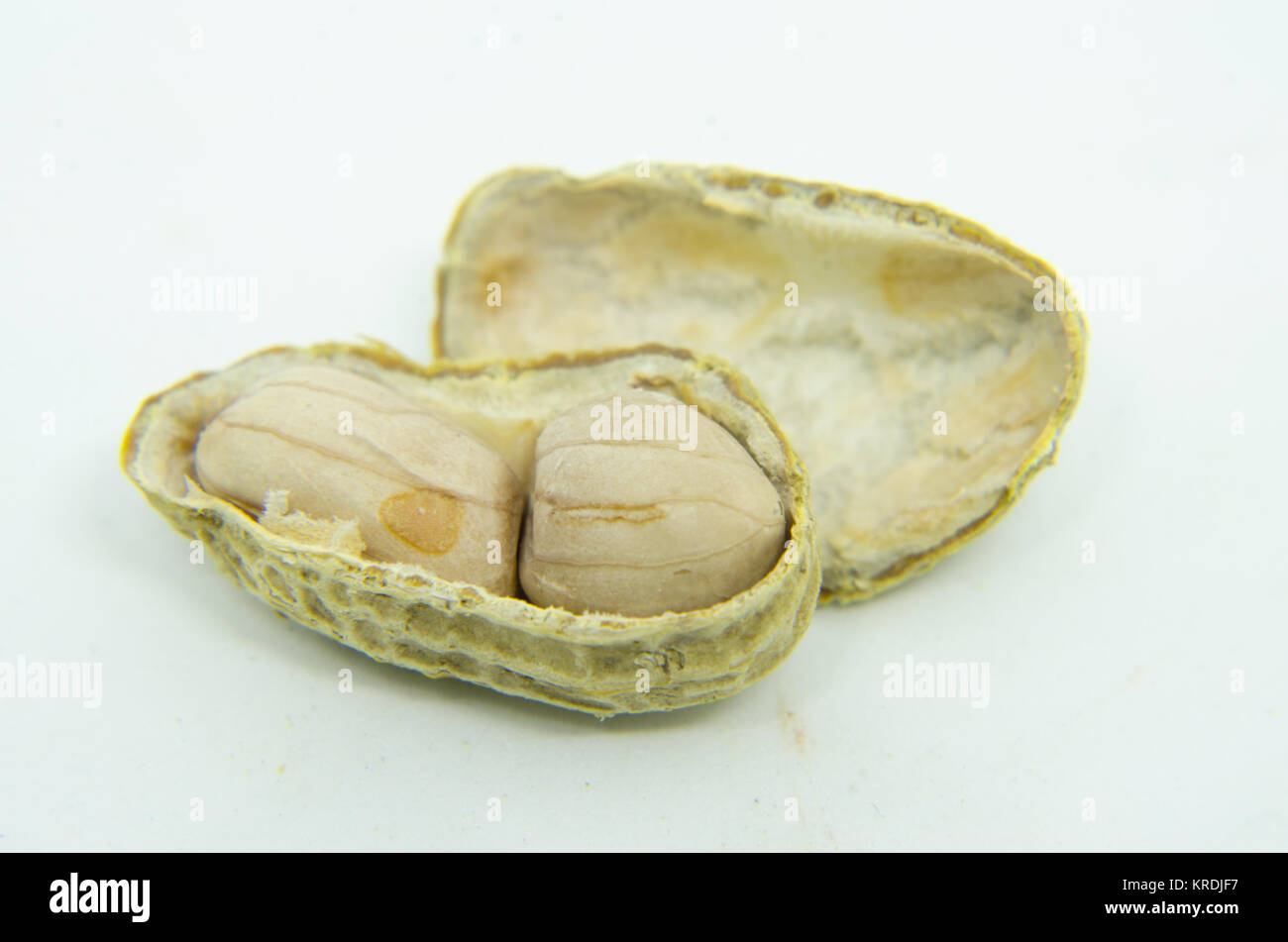 groundnut isolated on white background. close up of peanut isolated on ...