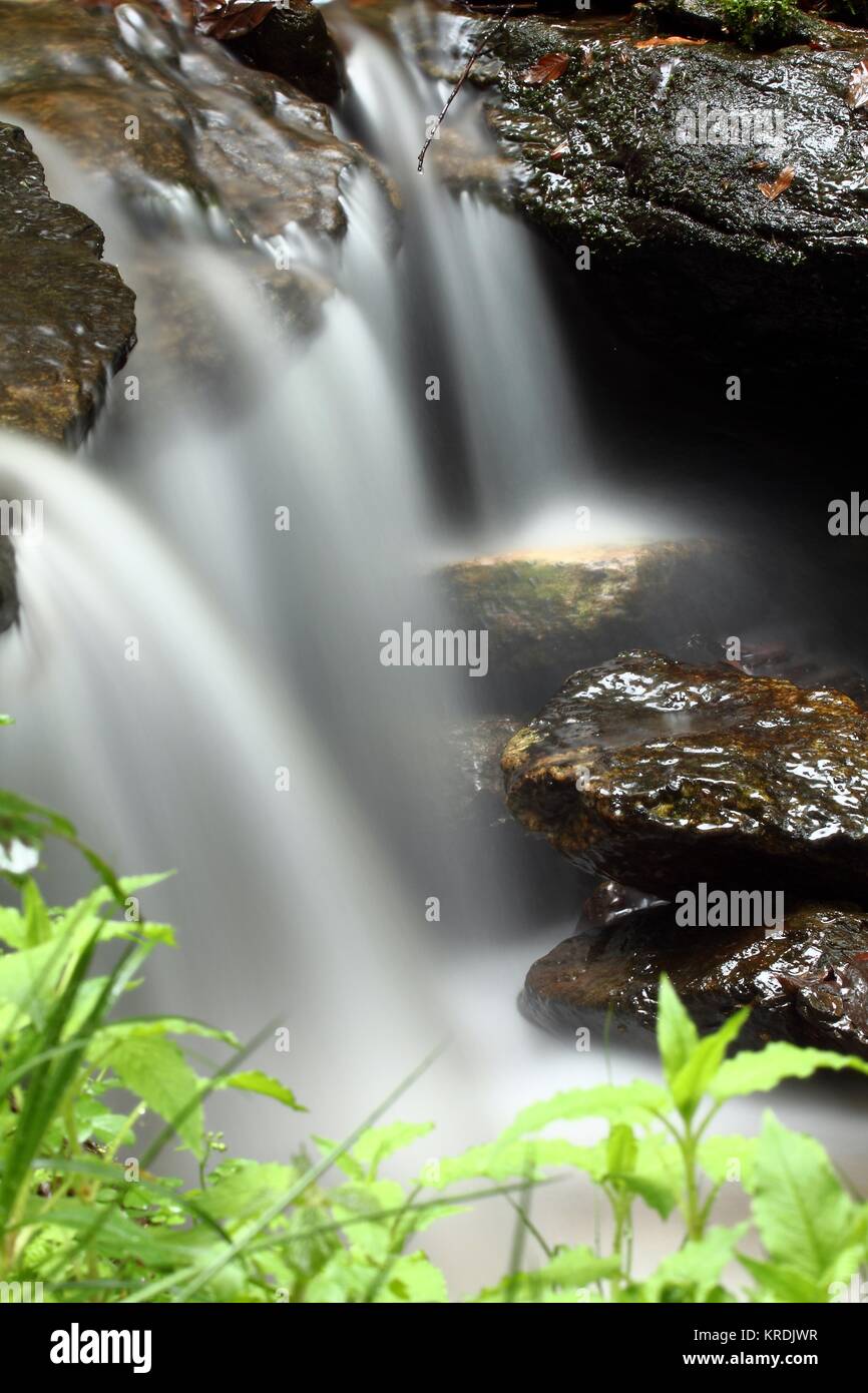 Waterfall in the brook Stock Photo - Alamy