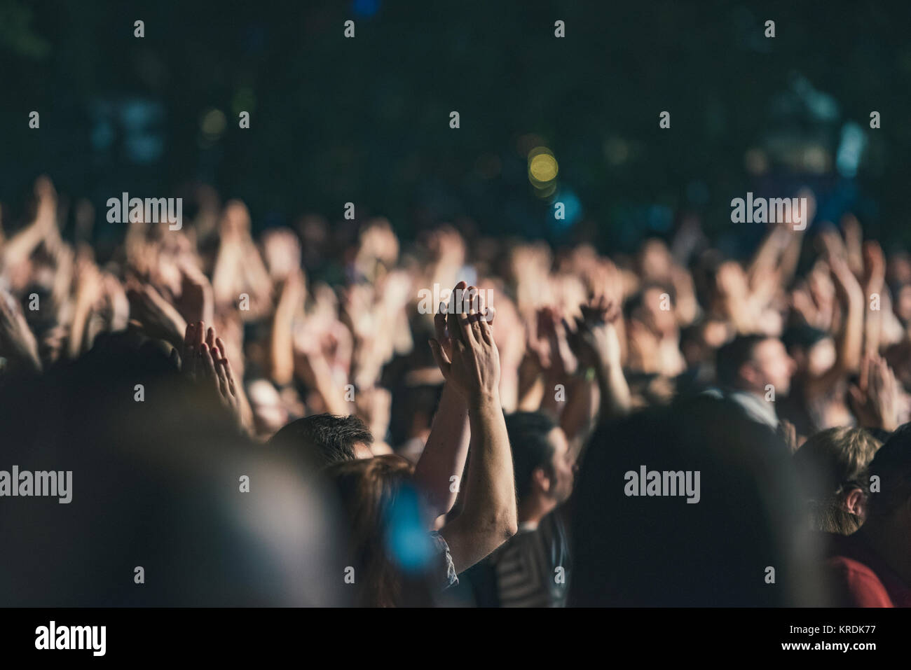 People at the concert Stock Photo - Alamy
