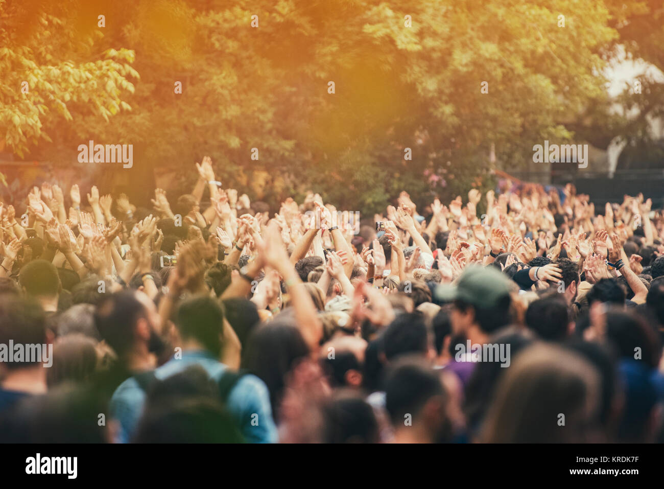 People at the concert Stock Photo - Alamy