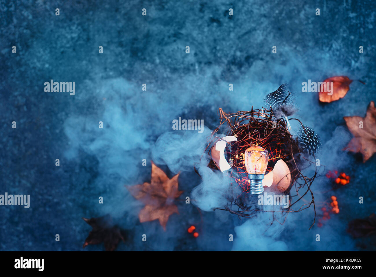 Shining light bulb in a birds nest. Ideas generation creative concept ...