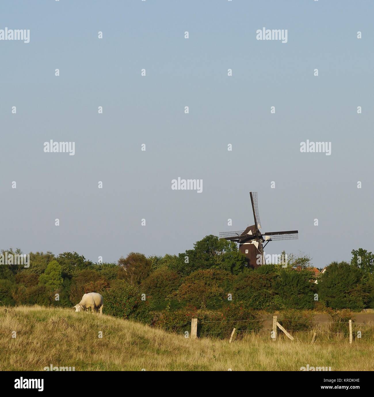 fehmarn island,mill landscape near lemkenhafen Stock Photo - Alamy