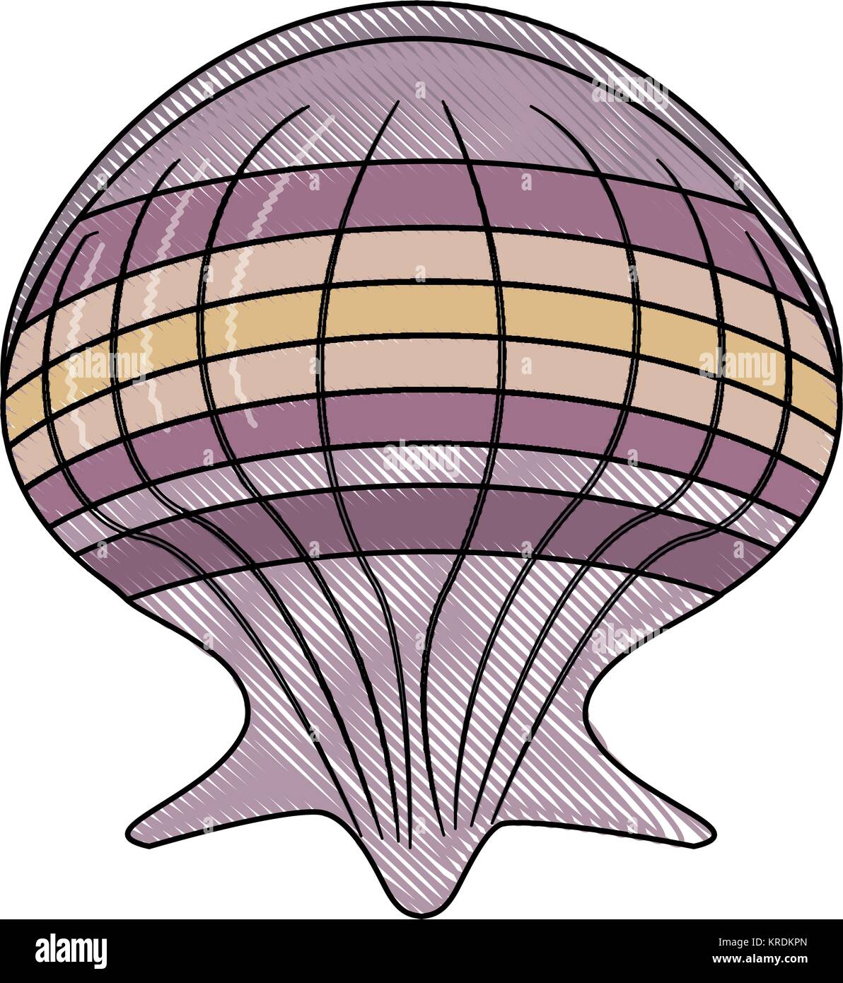 Seashell marine symbol Stock Vector Image & Art - Alamy