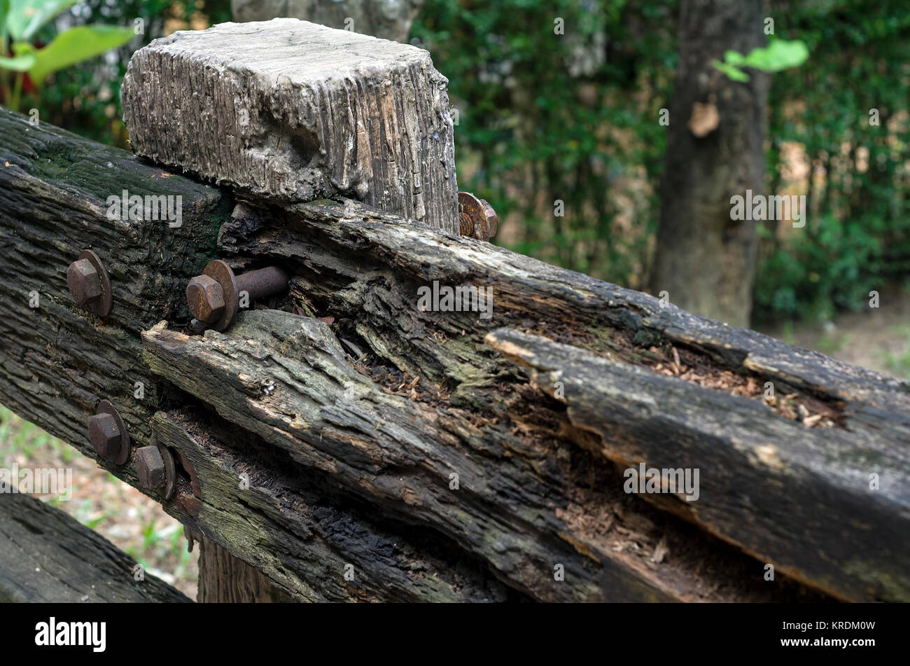 Closeup of decayed worn wooden fence - decaying wooden texture with ...