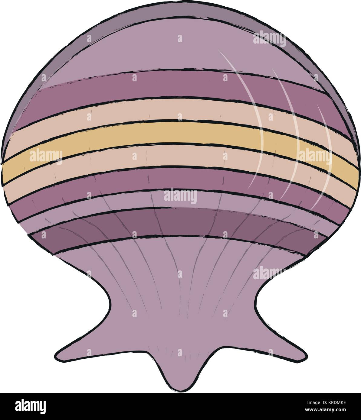 Seashell marine symbol Stock Vector Image & Art - Alamy