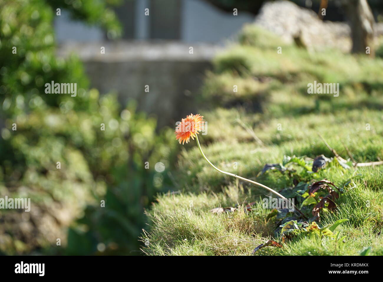 Batanes hi-res stock photography and images - Alamy