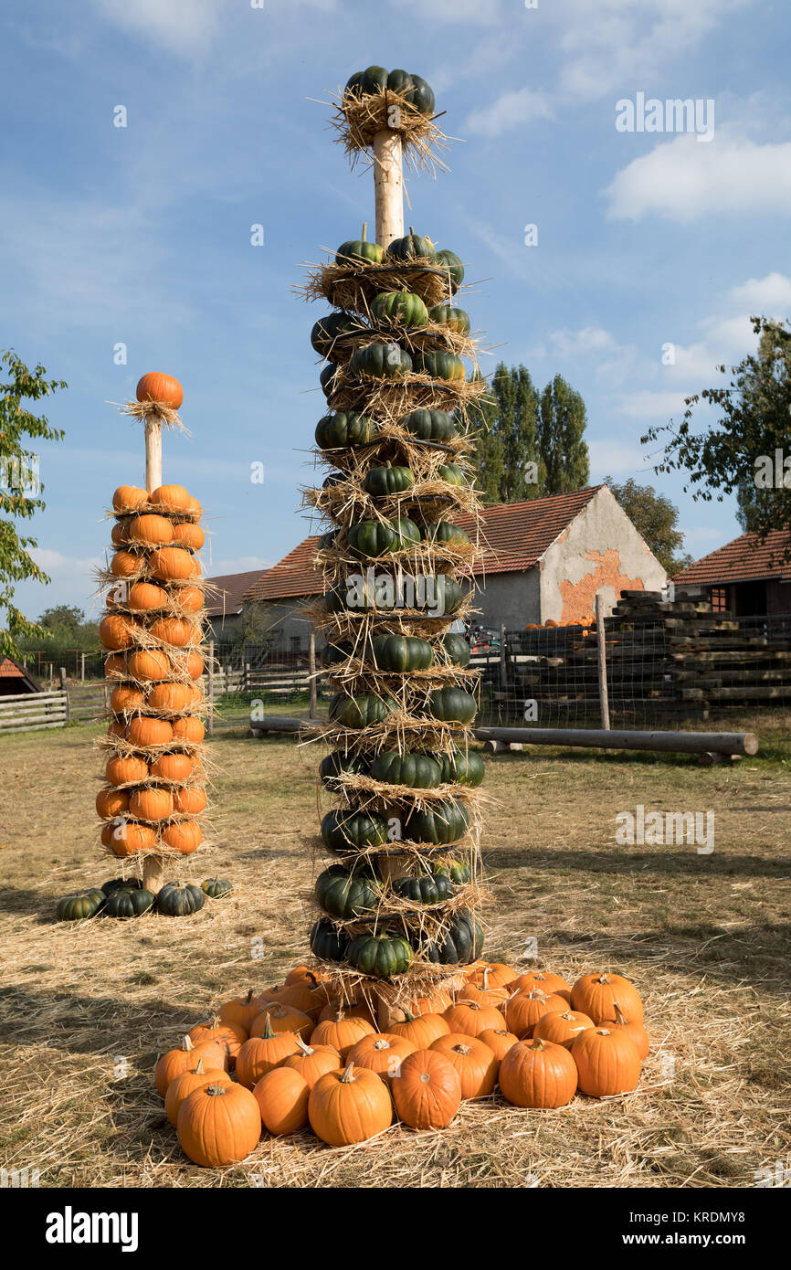 Ripe autumn pumpkins arranged on totem Stock Photo - Alamy