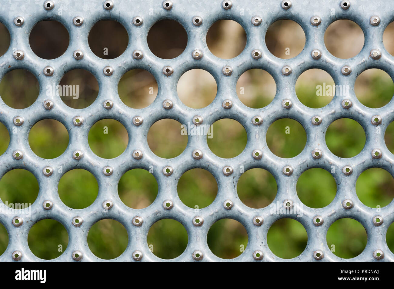 Detail of metal grate with round holes and rivets Stock Photo - Alamy
