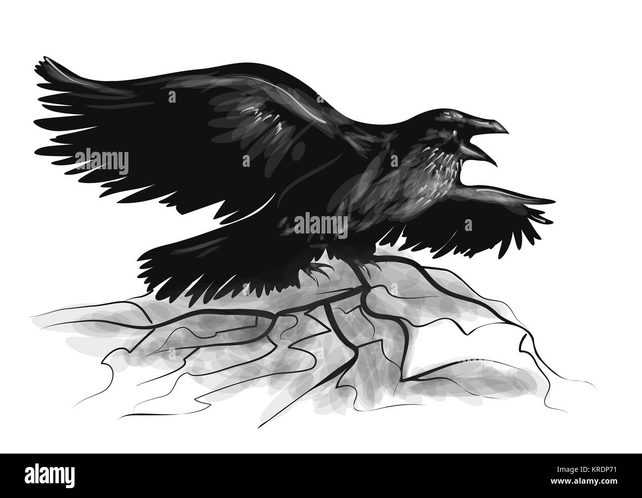 Crow raven black bird Cut Out Stock Images & Pictures - Alamy
