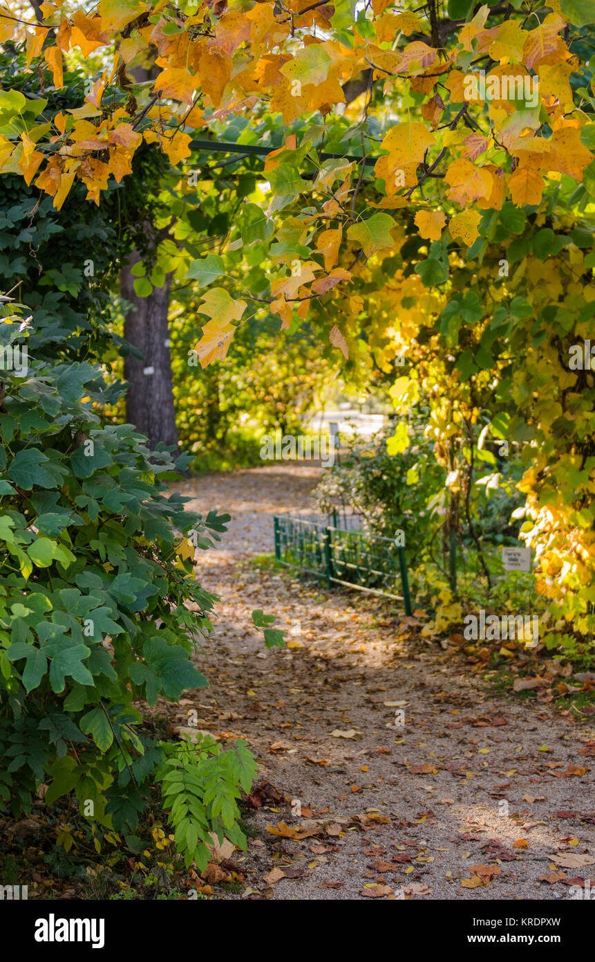 Autumn landscape in a park Stock Photo - Alamy