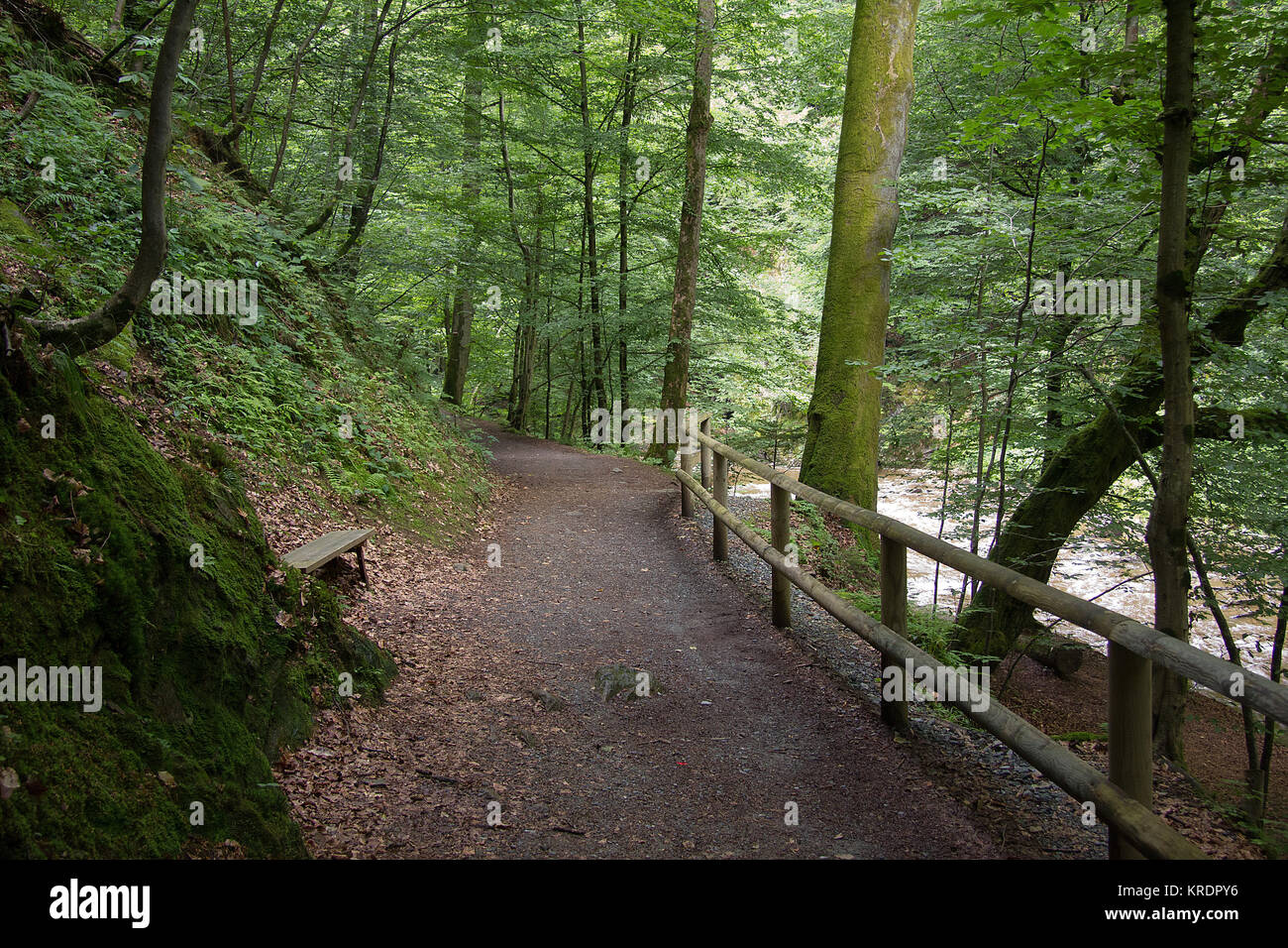 Walk through flower trees in hi-res stock photography and images - Alamy