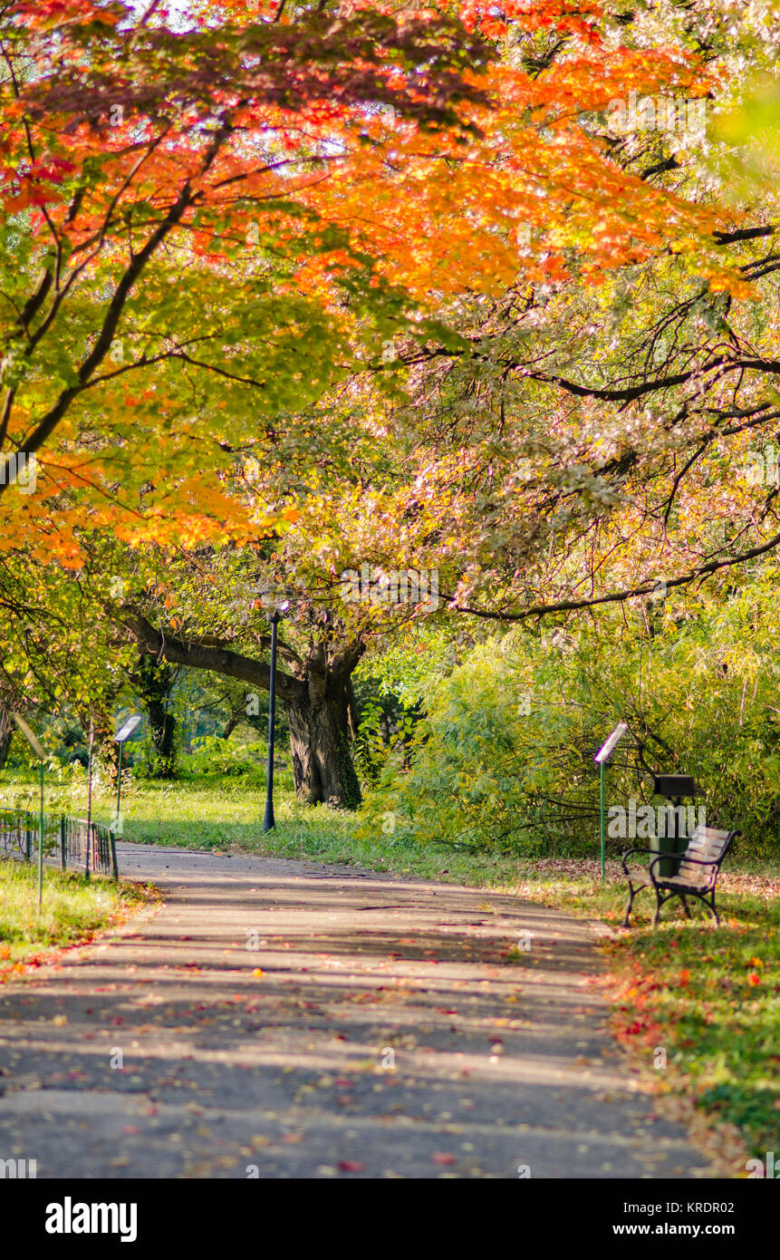 Autumn landscape in a park Stock Photo - Alamy