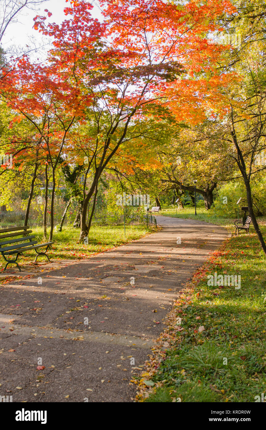Autumn landscape in a park Stock Photo - Alamy