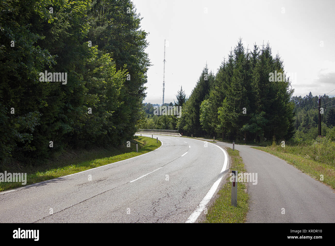 road without vehicles through forest area Stock Photo - Alamy