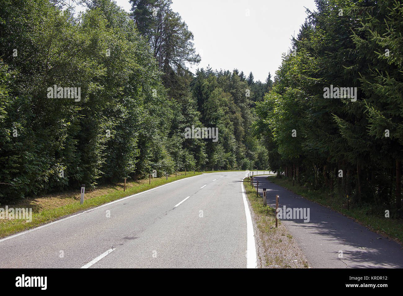 road without vehicles through forest area Stock Photo - Alamy