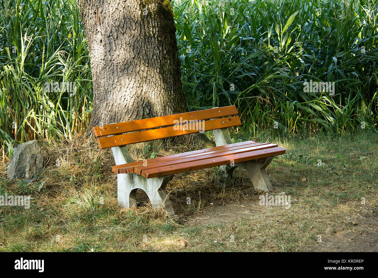 brown park bench under a tree Stock Photo - Alamy