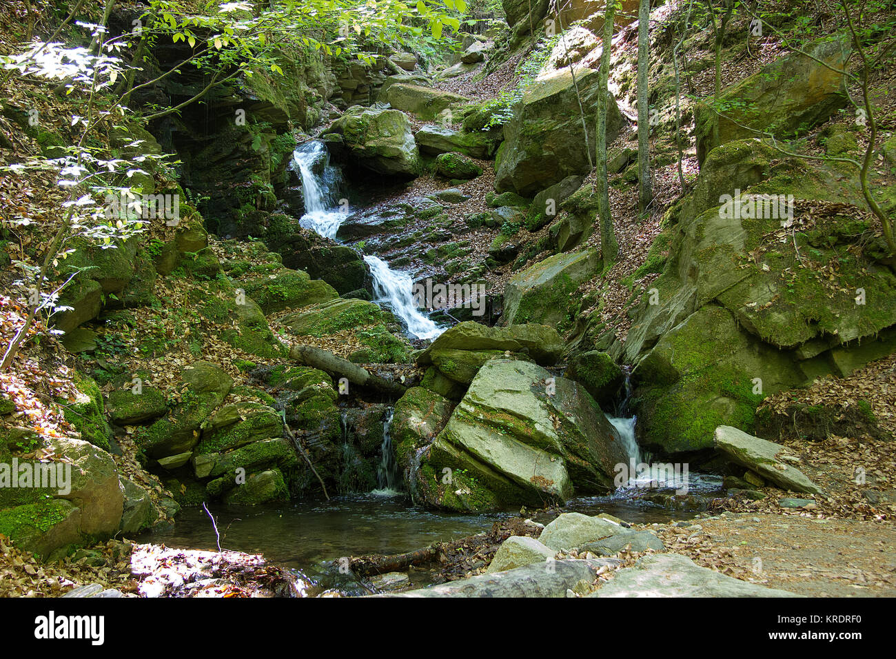 watercourse in a hermitage Stock Photo - Alamy