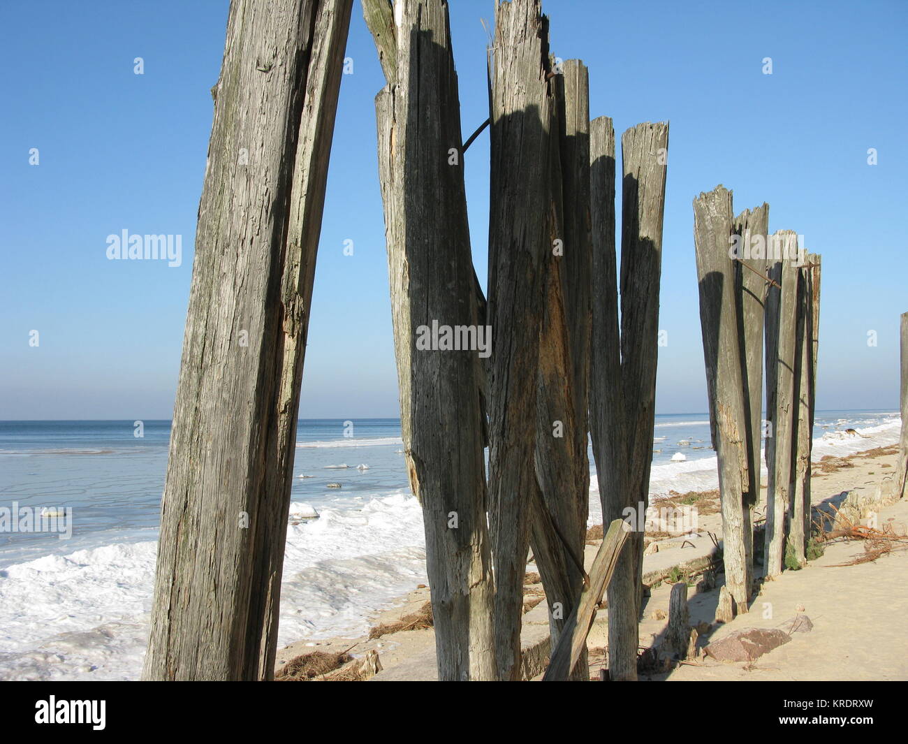 old wooden poles on the beach Stock Photo - Alamy