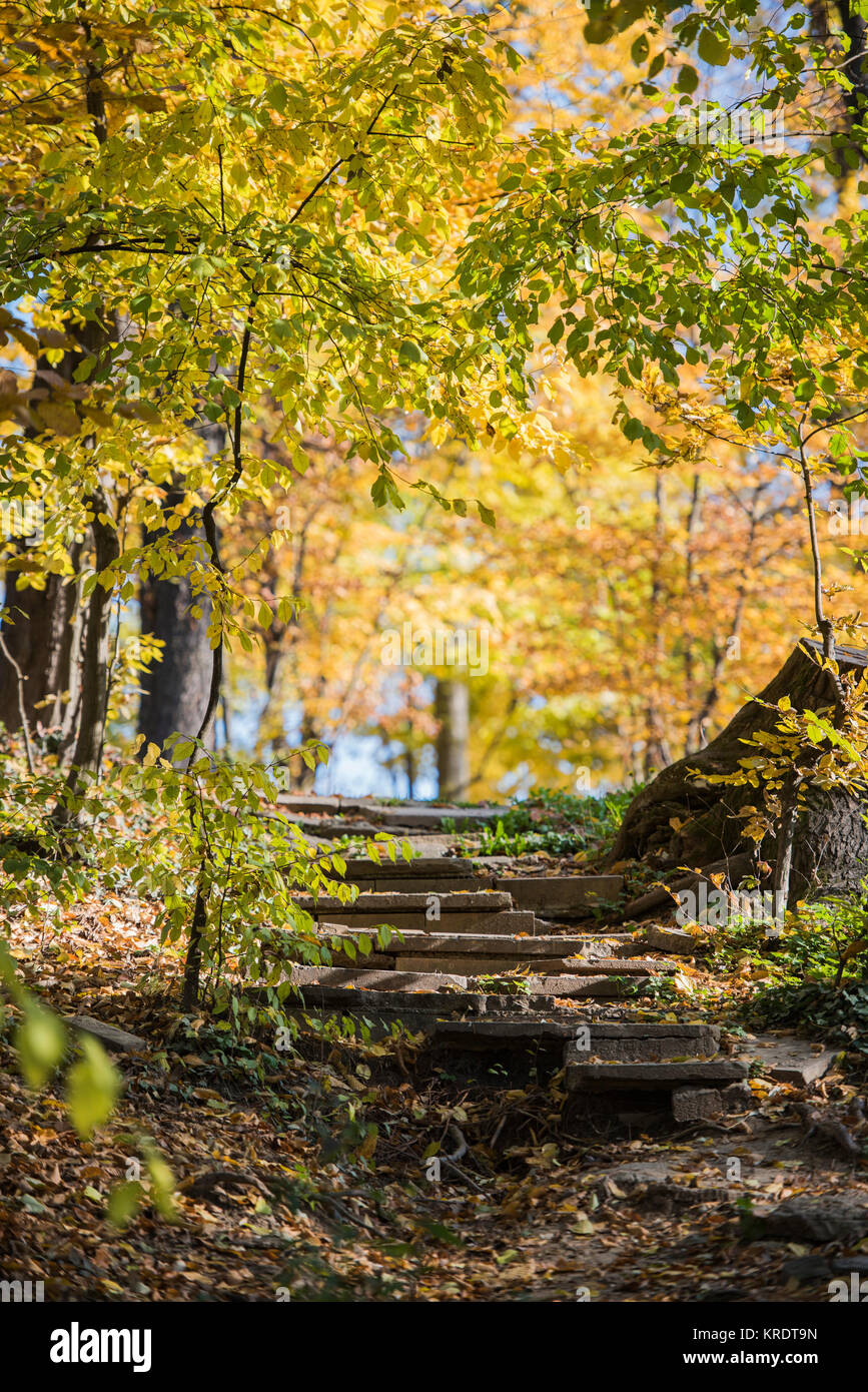 Autumn landscape in a park Stock Photo - Alamy