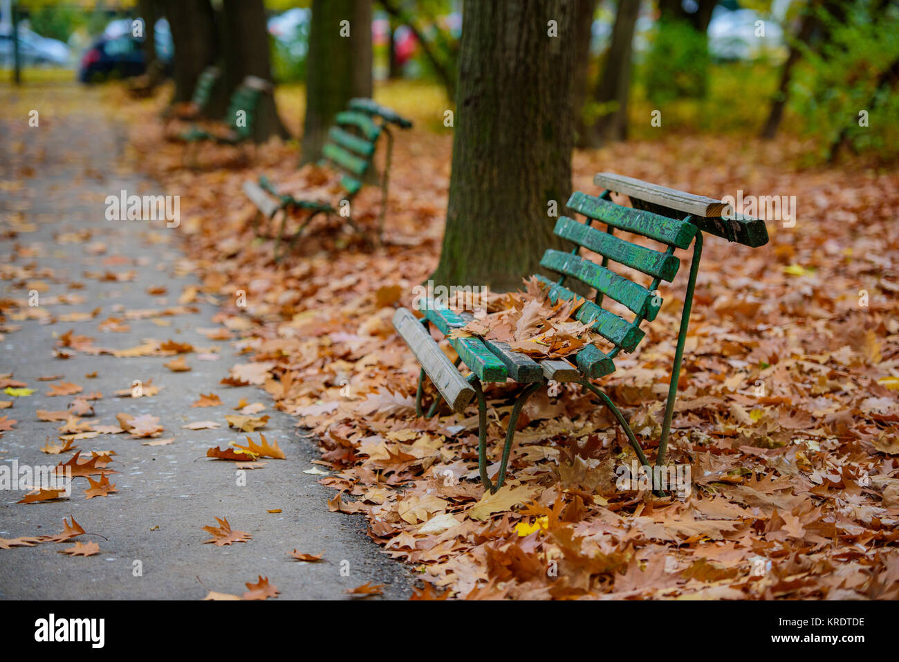 Autumn scene with a bench Stock Photo - Alamy