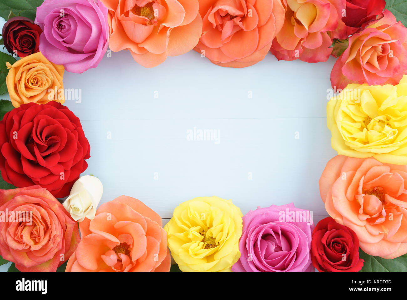 Frame of roses Stock Photo - Alamy