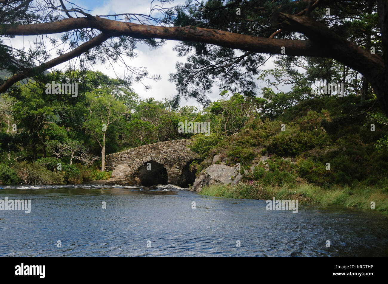 Bridge in Killarney National Park, County Kerry, Ireland, Europe Stock ...