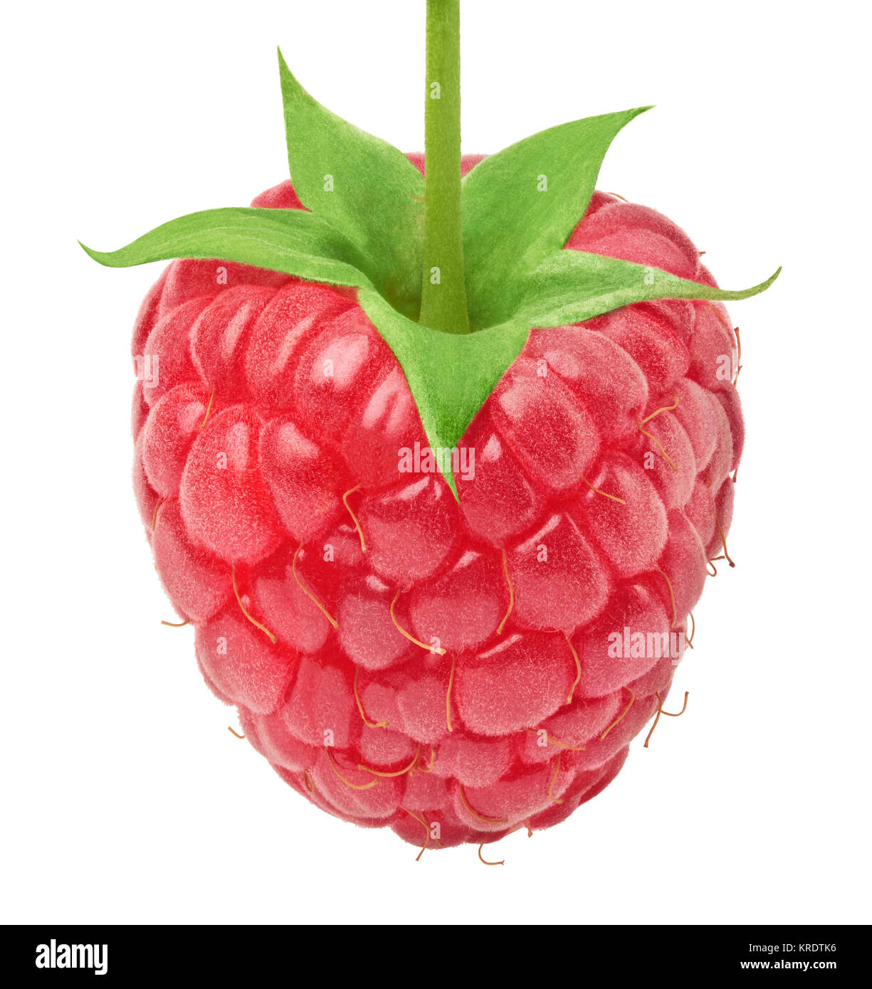 Ripe raspberry with green leaf isolated on white background with ...