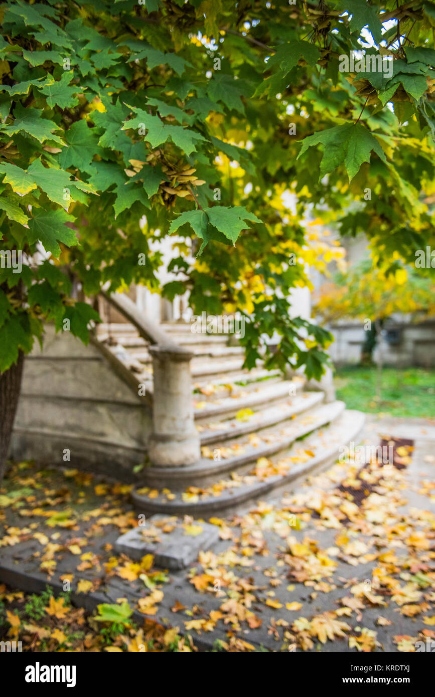 Old house with beautiful architecture in an autumn day Stock Photo - Alamy