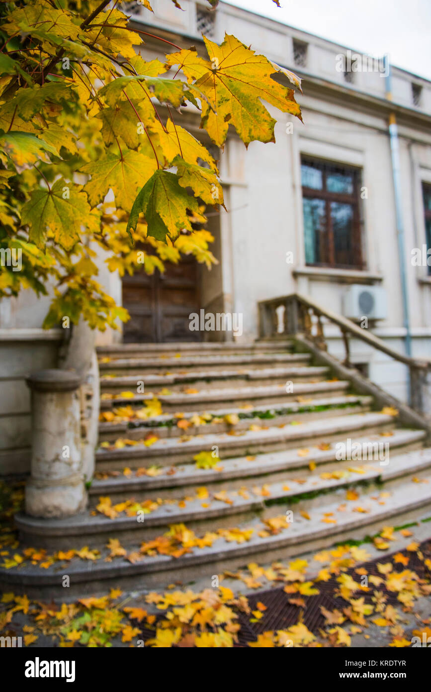 Old house with beautiful architecture in an autumn day Stock Photo - Alamy