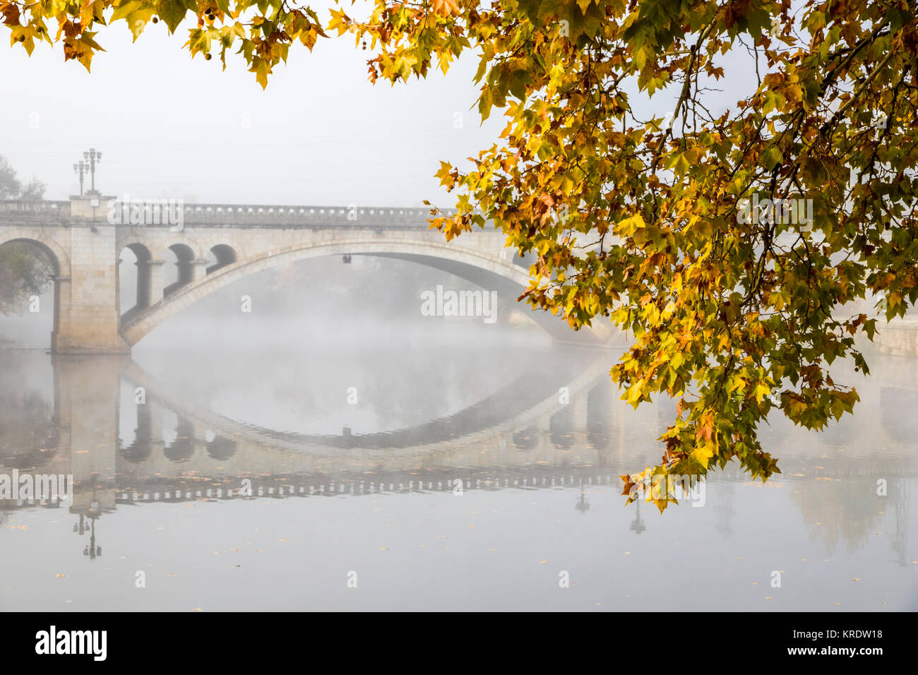 Yellow and green autumn leaves with the Ponte Nova (New Bridge in the ...