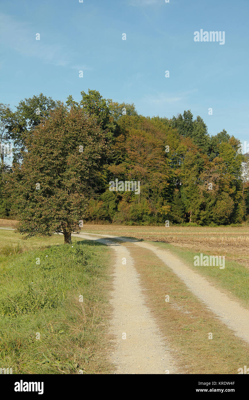 path into landscape Stock Photo - Alamy