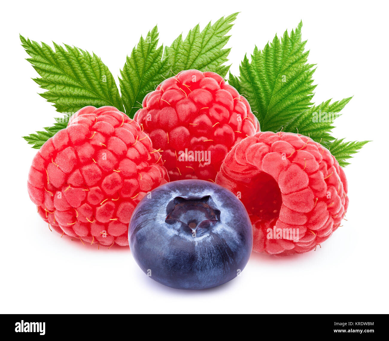 Three ripe raspberries with green leaf and one blueberry isolated on ...