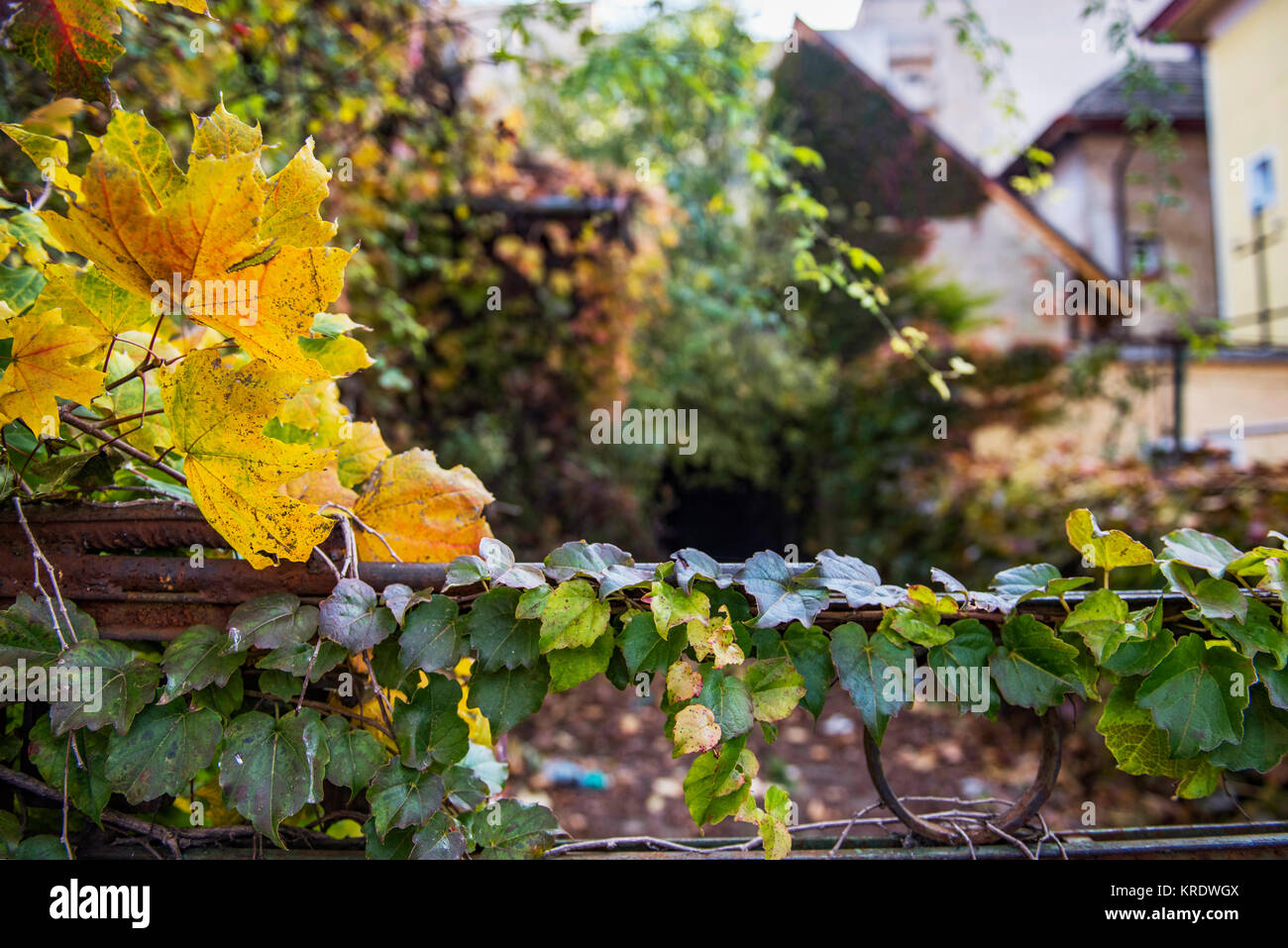 Light brown landscape hi-res stock photography and images - Alamy