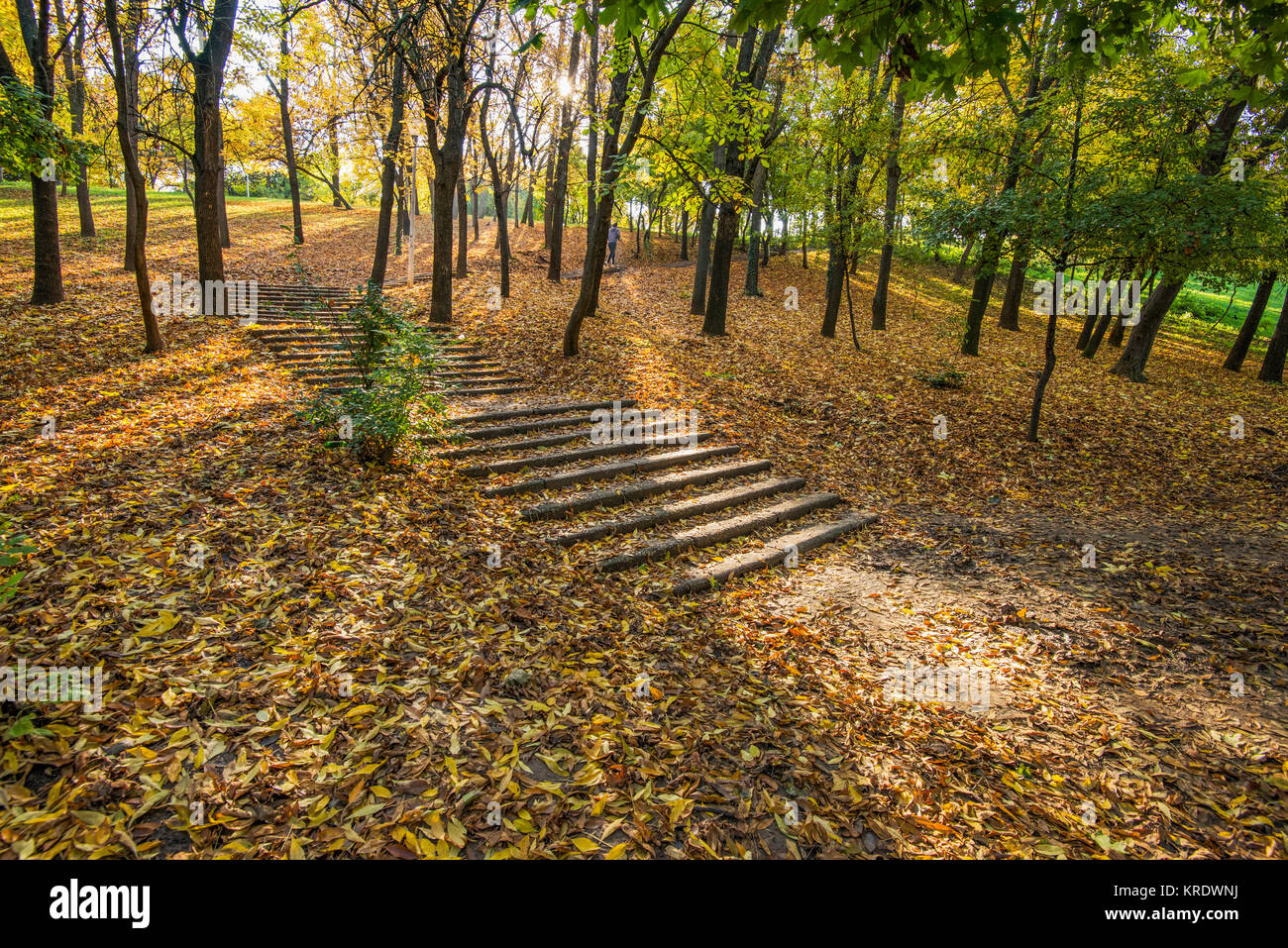 Autumn landscape in a park Stock Photo - Alamy
