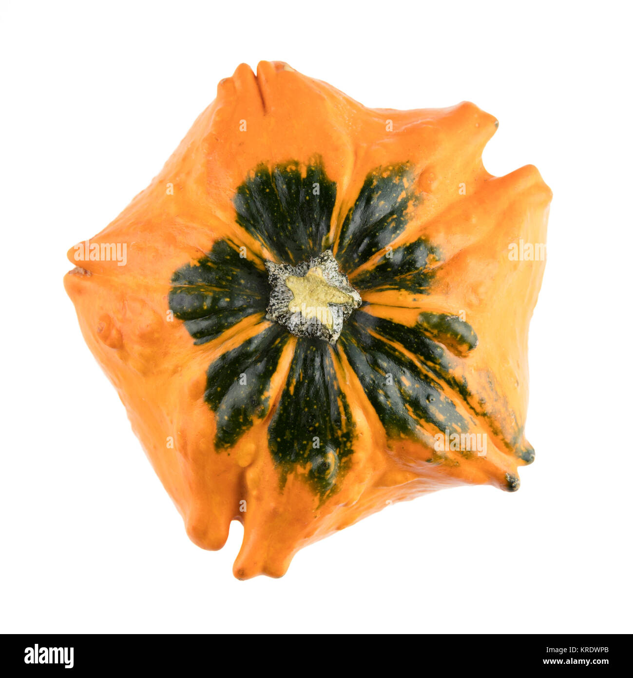 Isolated Autumn Gourd Stock Photo - Alamy