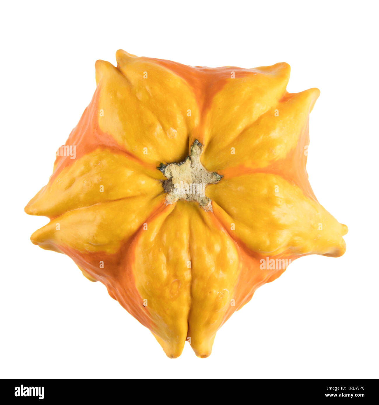 Gourd variety Cut Out Stock Images & Pictures - Alamy