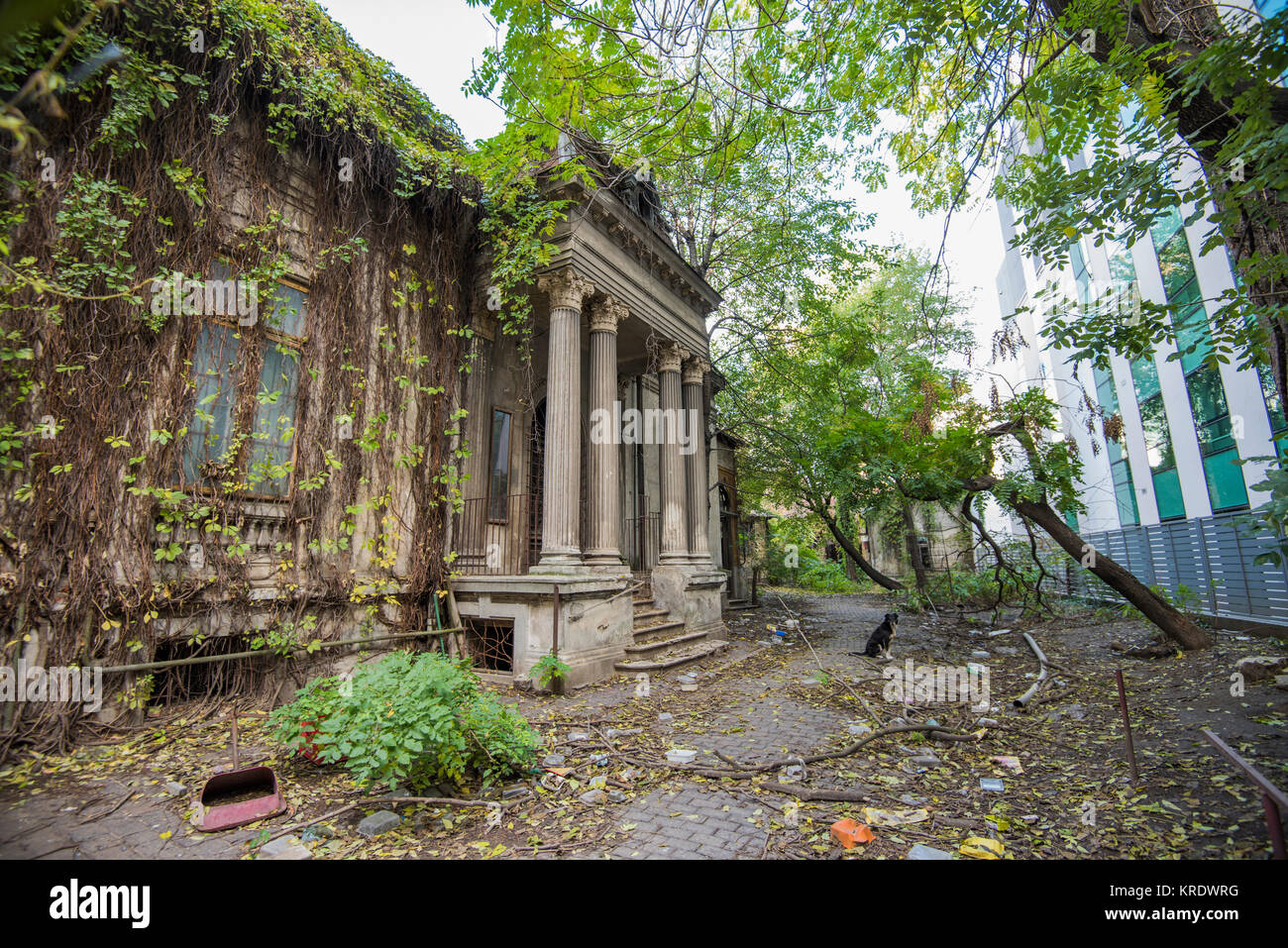 Old and abandoned building with valuable architecture in Bucharest ...