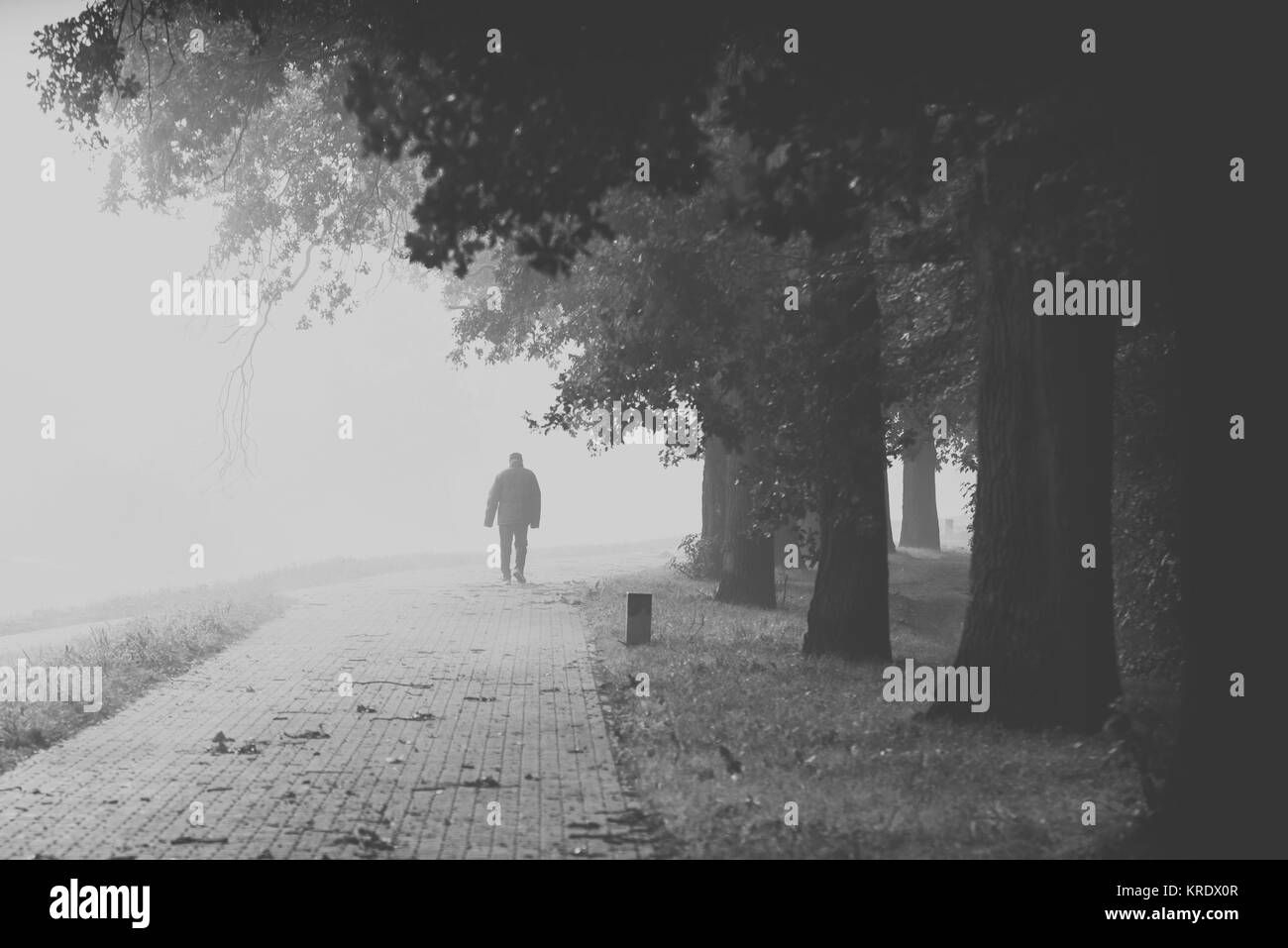 Old man walk into the fog, black and white Stock Photo - Alamy